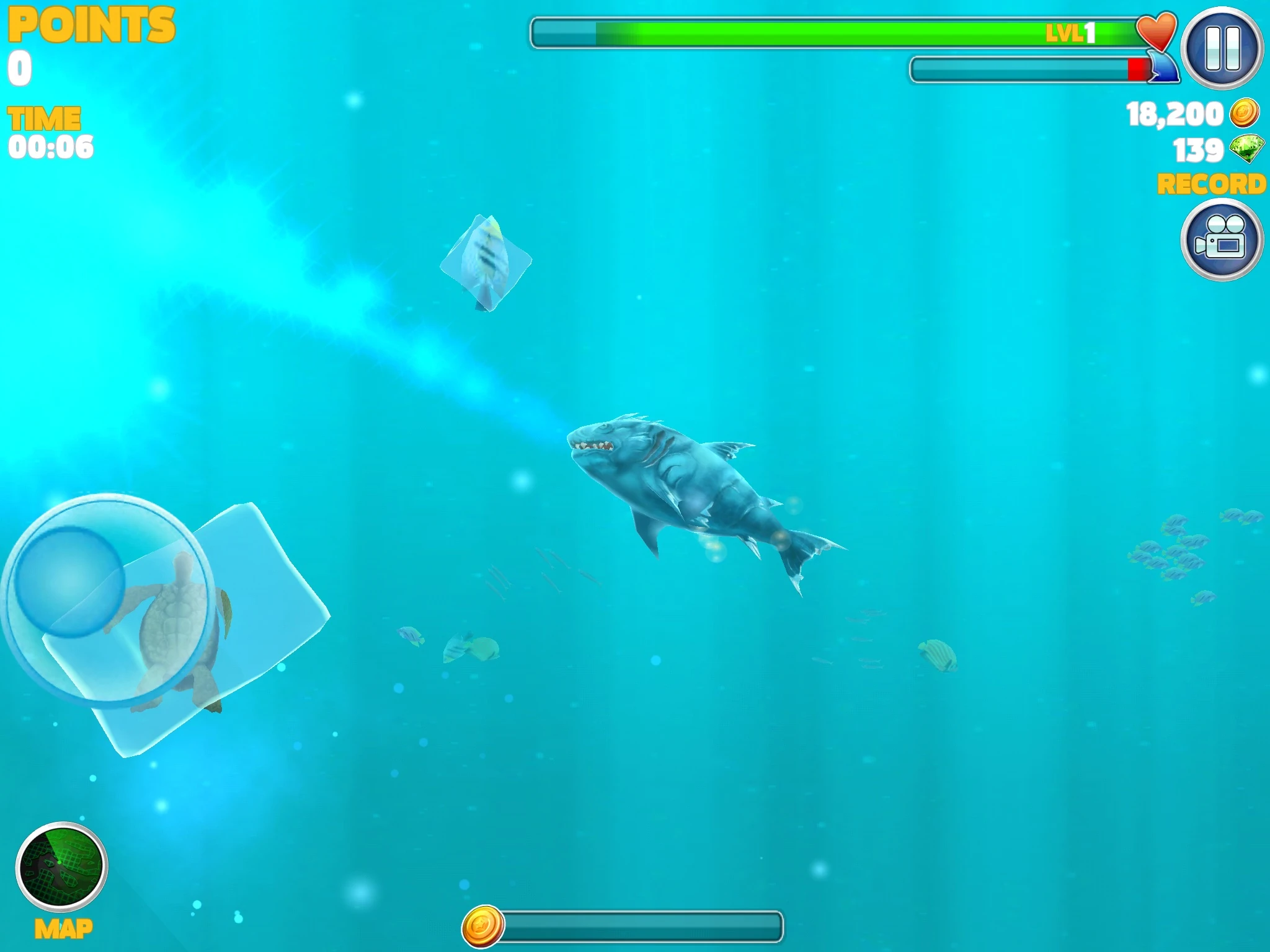 Hungry Shark Evolution Special Sharks