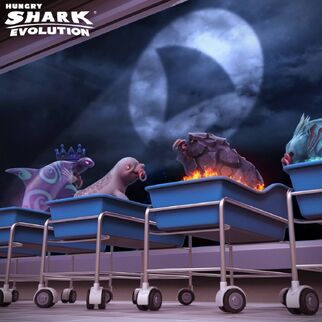 Shark Signal | Hungry Shark Wiki | Fandom