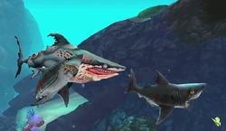 Zombie Shark (HSW) | Hungry Shark Wiki | Fandom