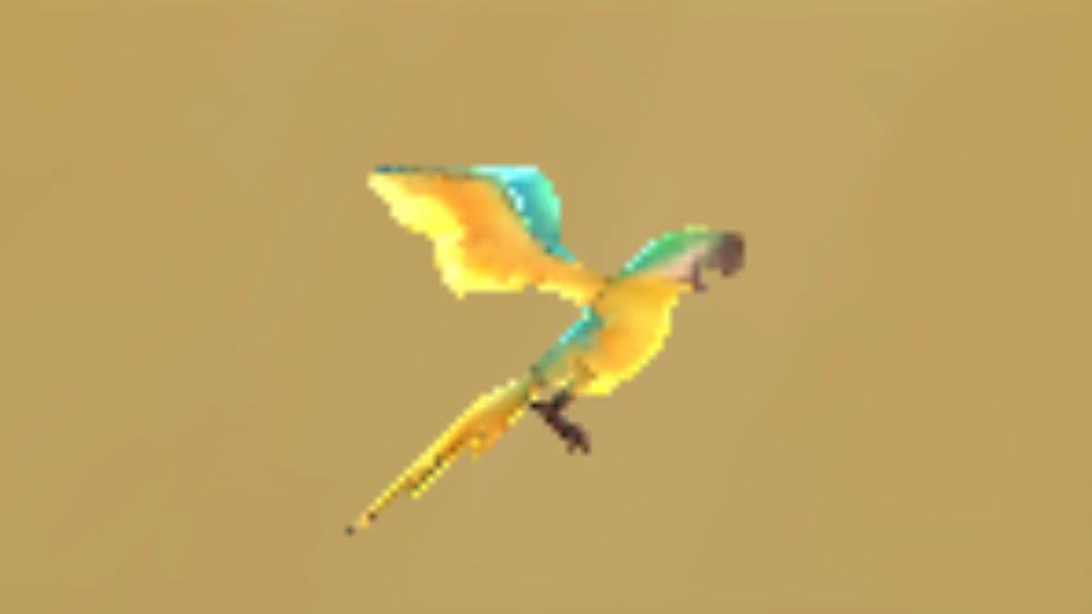 Parrot | Hungry Shark Wiki | Fandom