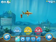 Blacktip Reef Shark | Hungry Shark Wiki | Fandom