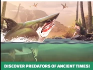 Hungry Shark Primal | Hungry Shark Wiki | Fandom