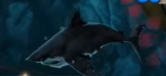 Shadow Shark | Hungry Shark Wiki | Fandom