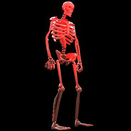 Terminator Wins | Hunkeroni's Slender Fortress 2 Wiki | Fandom