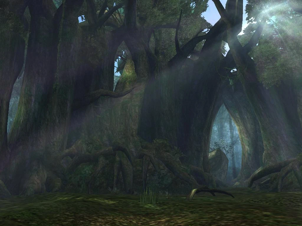 Deep Forest | Hunter Blade Wiki | Fandom