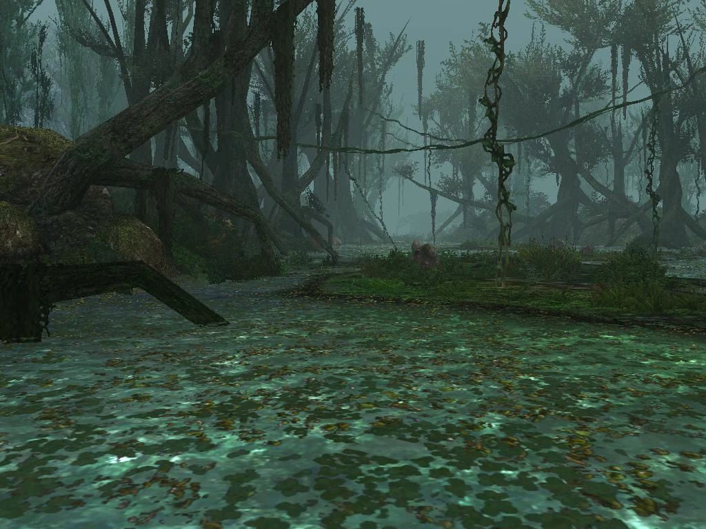 Swamp | Hunter Blade Wiki | Fandom