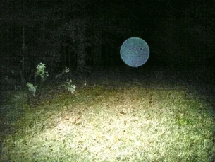 Orbs | HunterNet Wiki | Fandom