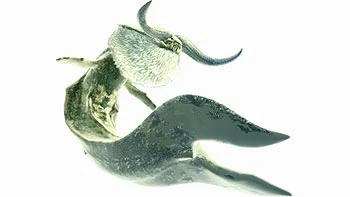 Ceadeus | Monster Hunter Wiki | Fandom