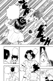 Chapter 17 | Hunterpedia | Fandom