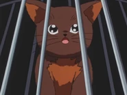 Foxbear/Image Gallery | Hunterpedia | Fandom