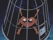 Foxbear/Image Gallery | Hunterpedia | Fandom