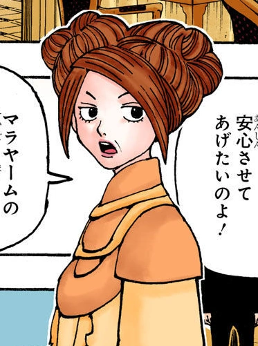 Sevanti Hui Guo Rou | Wiki Hunter x Hunter | Fandom