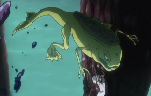 Remora | Wiki Hunter × Hunter | Fandom