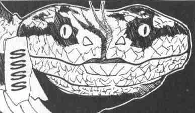 Serpent de terre | Wiki Hunter x Hunter | Fandom