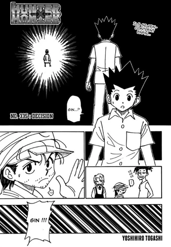 Chapitre 335 | Wiki Hunter x Hunter | Fandom