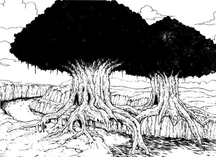 Poste frontière de NGL | Wiki Hunter x Hunter | Fandom