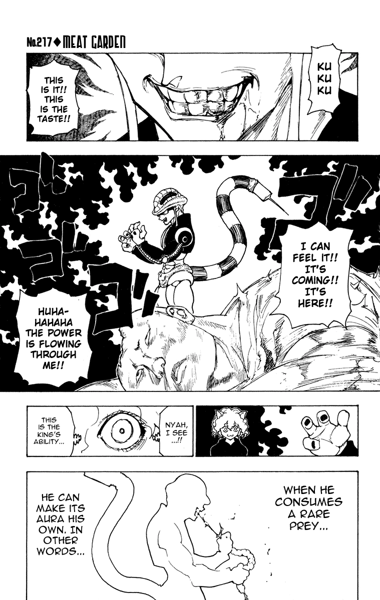 Chapitre 217 | Wiki Hunter x Hunter | Fandom
