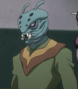 Inzagi | Wiki Hunter x Hunter | Fandom