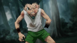 Gon Freecss | Hunterpedia | Fandom