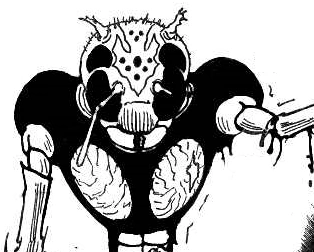 Kimera Ants | Wiki Hunter x Hunter | Fandom