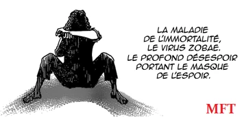 Zobae | Wiki Hunter x Hunter | Fandom