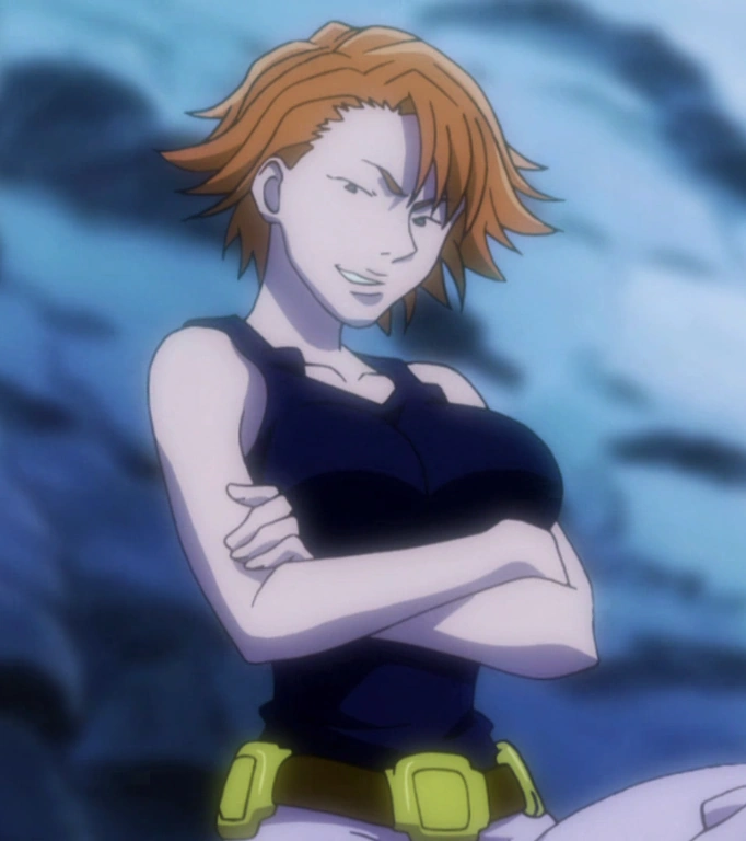 Asta | Wiki Hunter × Hunter | Fandom