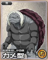 Turtle/Image Gallery | Hunterpedia | Fandom