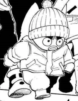 Ikarugo | Wiki Hunter x Hunter | Fandom