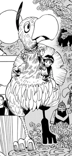 Piko | Hunterpedia | Fandom