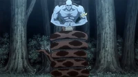 Змеюн | Hunter x Hunter вики | Fandom
