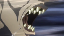 Rabid Dog | Hunterpedia | Fandom