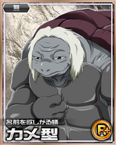 Turtle/Image Gallery | Hunterpedia | Fandom