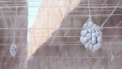 Spider Eagle | Hunterpedia | Fandom