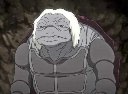 Черепах | Hunter x Hunter вики | Fandom