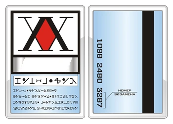 Лицензия Охотника | Hunter x Hunter вики | Fandom