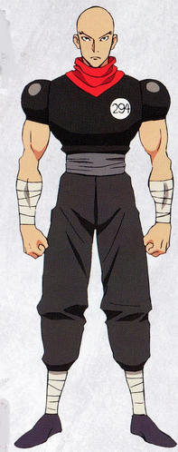 Hanzo | Wiki Hunter x Hunter | Fandom