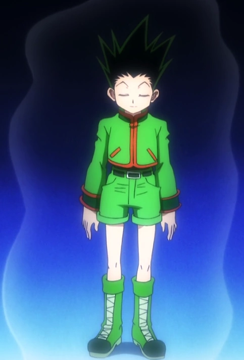 Nen | Hunter x Hunter Wiki | Fandom