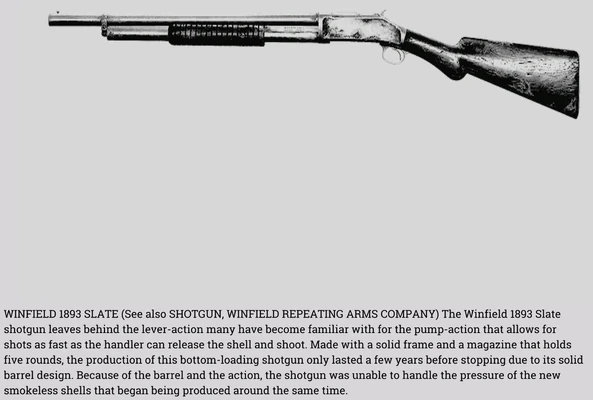 Winfield 1893 Slate - Official Hunt: Showdown Wiki