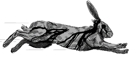 Traits - Official Hunt: Showdown Wiki