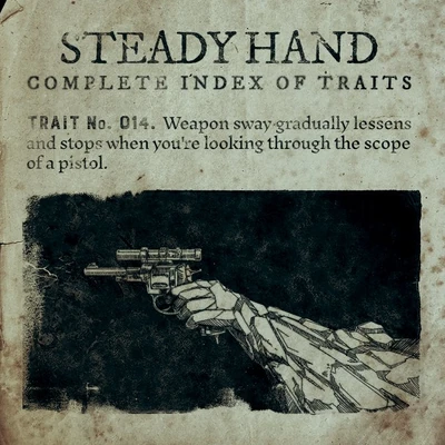 Steady Hand - Official Hunt: Showdown Wiki