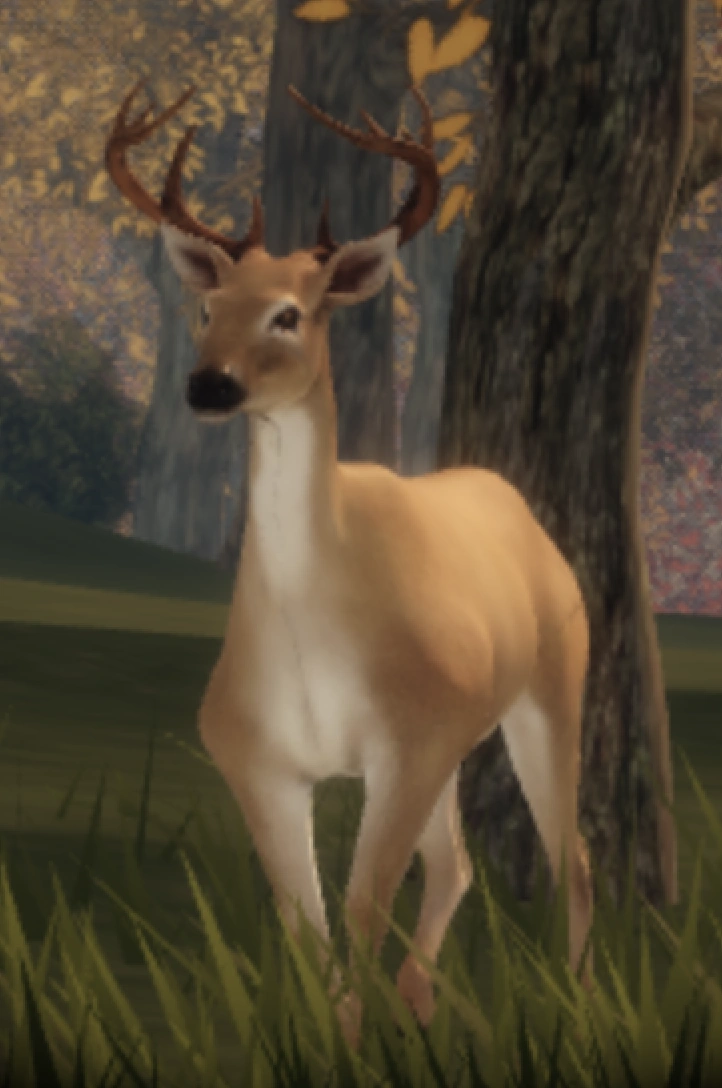 White tailed deer | Hunting Season BETA Wiki | Fandom