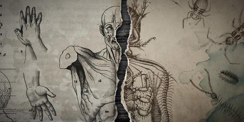 Category:Lore | Hunt: Showdown Wiki | Fandom