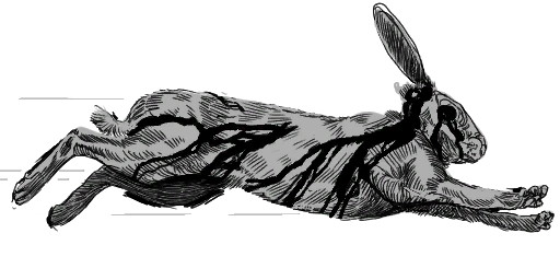 Навыки | Hunt: Showdown Вики | Fandom