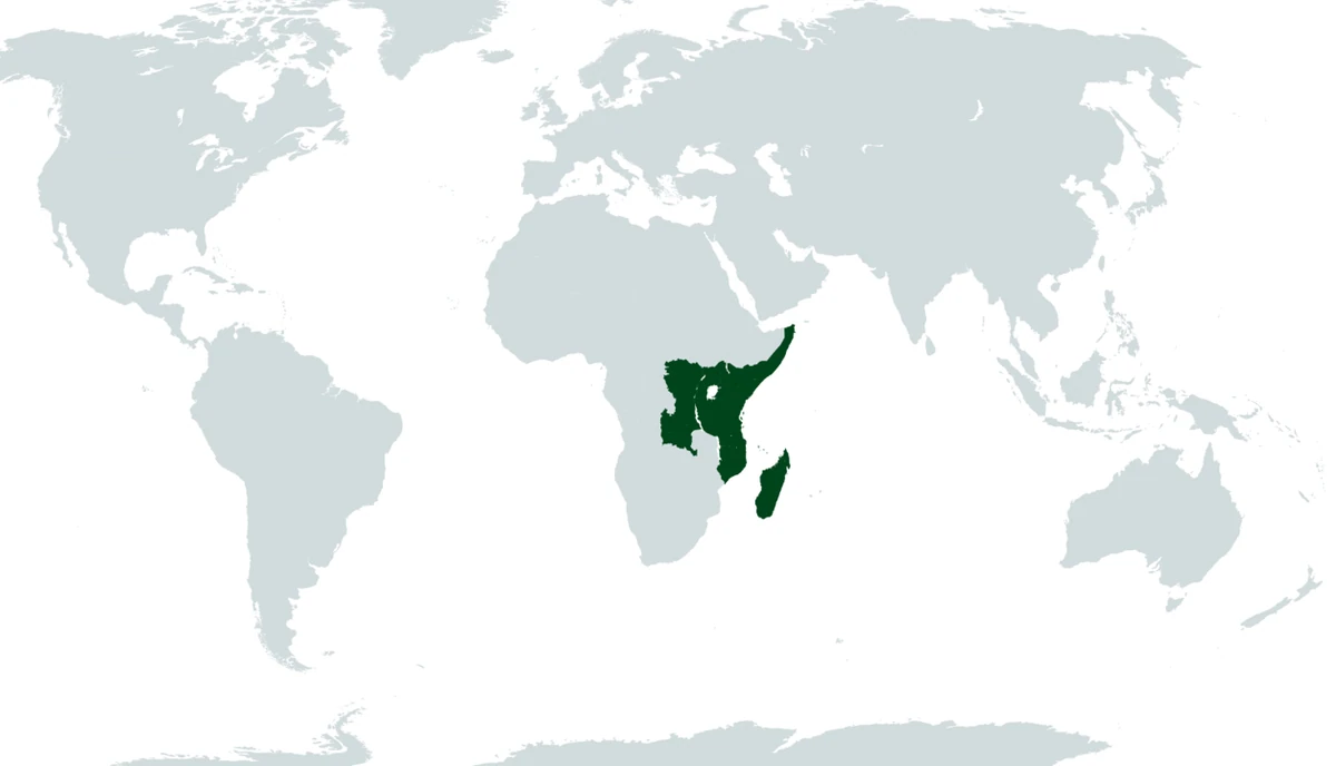 Huria | Hurian Database Wiki | Fandom