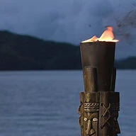 Torch | Huyopa2001's TD Survivor Wikia | Fandom