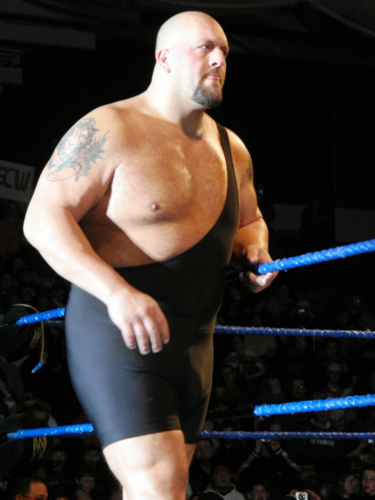 Big Show | HWrestling Wiki | Fandom