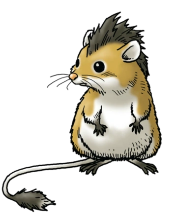 Chez | HunterXHunter D&D By Spade Wiki | Fandom