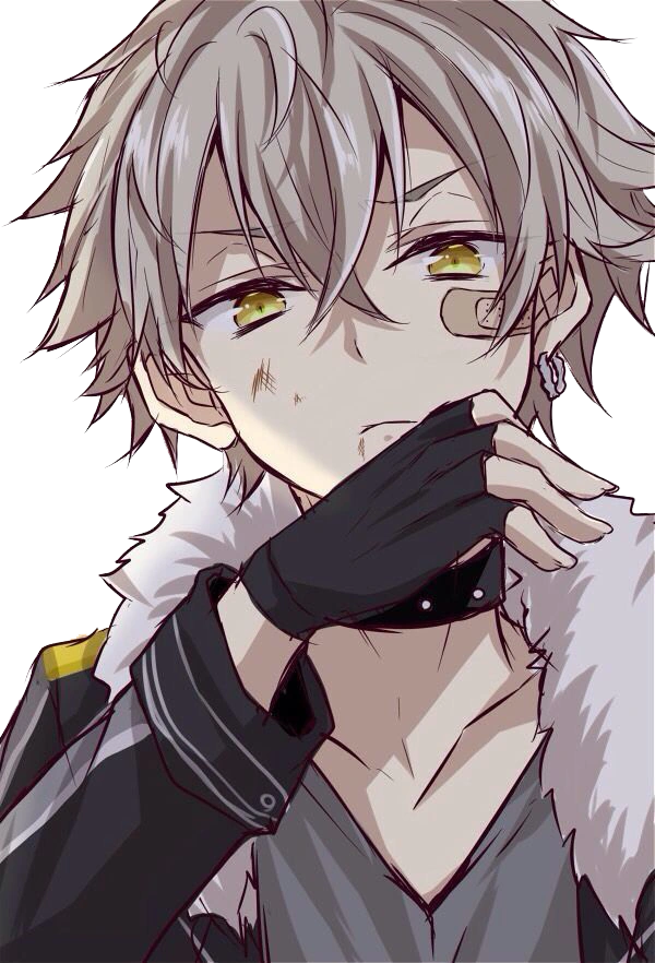 Duck | HunterXHunter D&D By Spade Wiki | Fandom