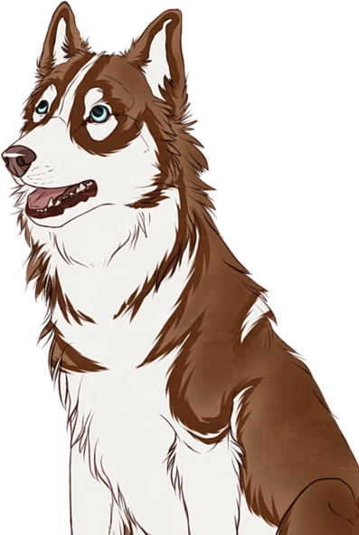Husky | HunterXHunter D&D By Spade Wiki | Fandom