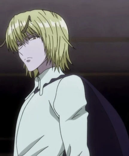 Shaiapouf | Hunter × Hunter Book! | Fandom